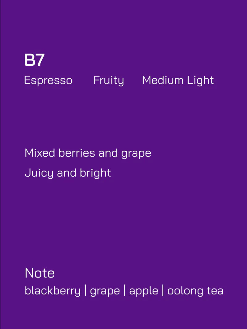 MUSE - Espresso Blend | B7 (If purchase coffee tools at the same time ...